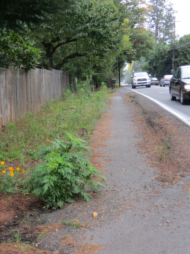 Garden Home Road Safety Path | GardenHomeHistory.com